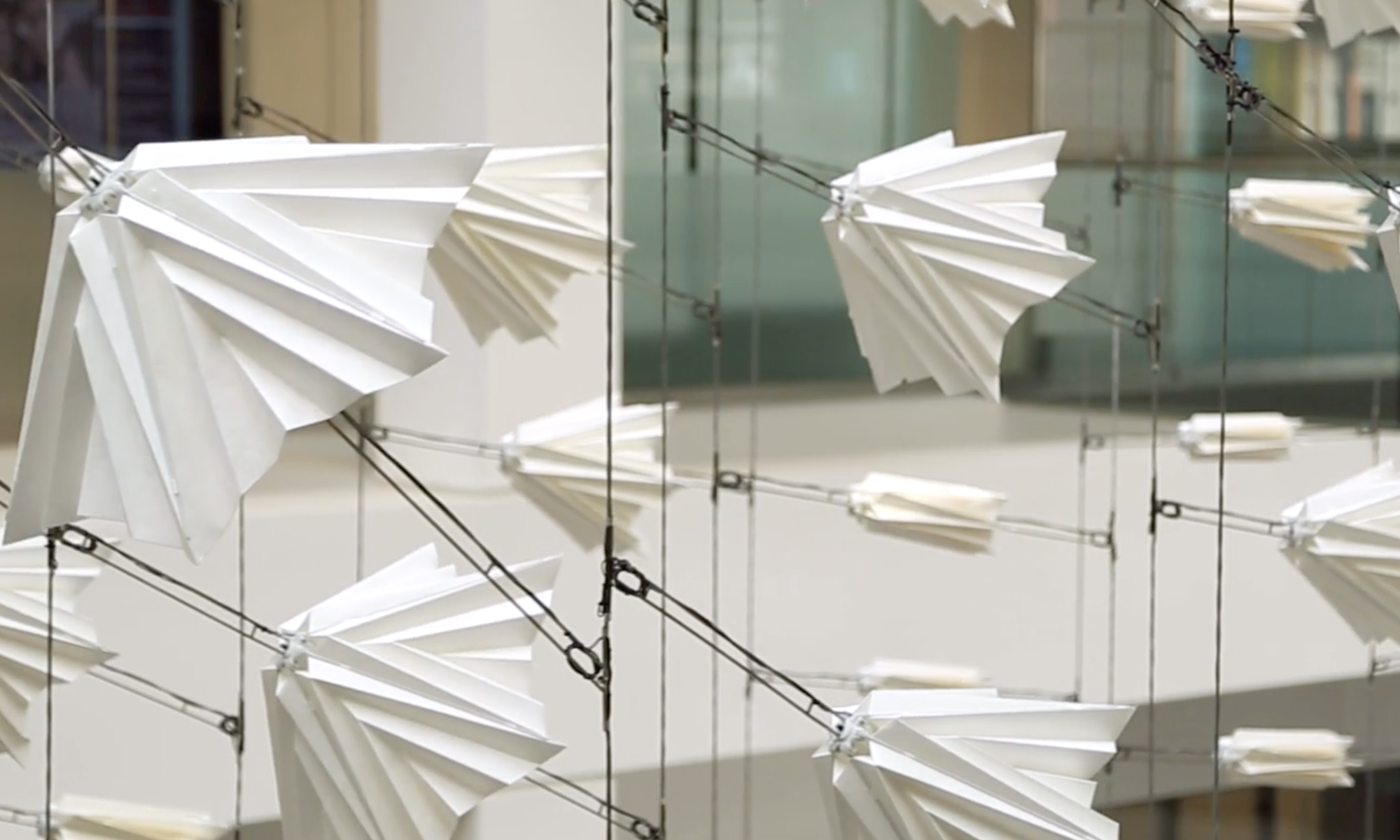 The Most Relaxing Art Installation Ever?