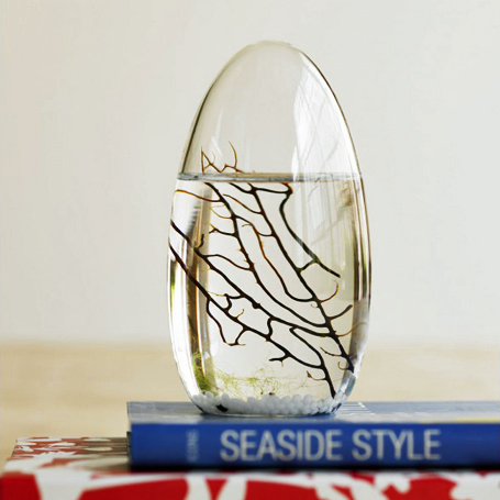 Lustables: Living Ecosphere