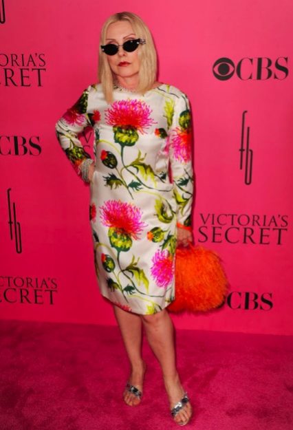 Debbie Harry's Vintage Clothing Collection For Riverkeeper