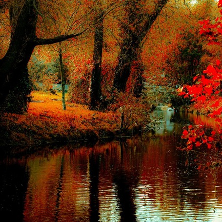 20 Images of Clean Rivers