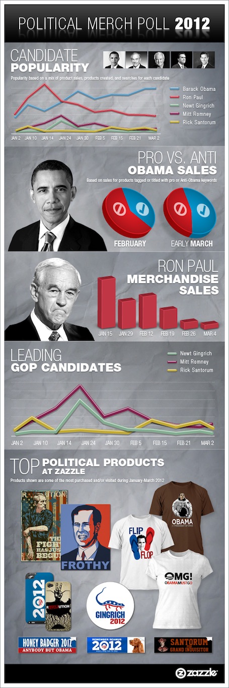 10 Informative Infographics on Election 2012