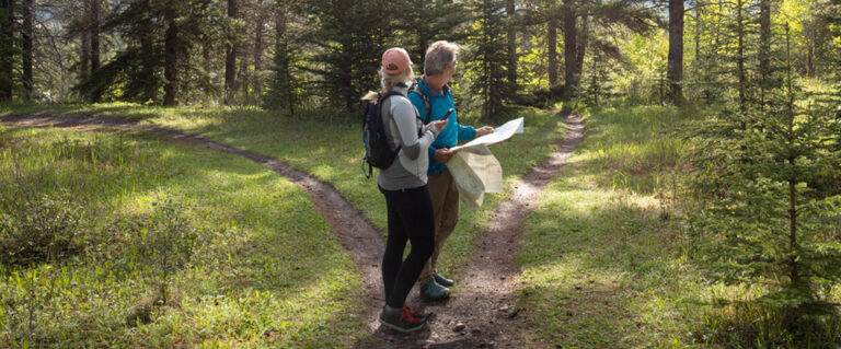 Memberships vs. Subscriptions: How To Choose The Best Model