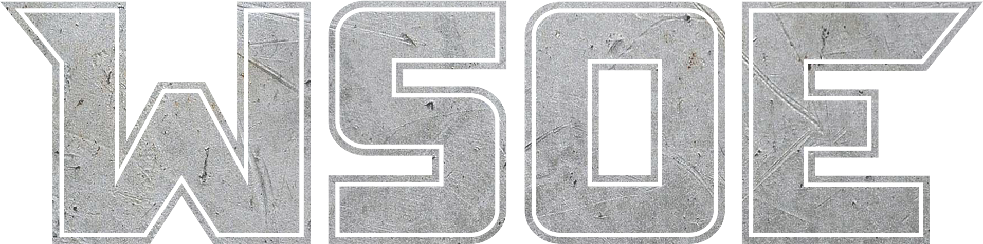 Gray Wordmark Only - WSOE