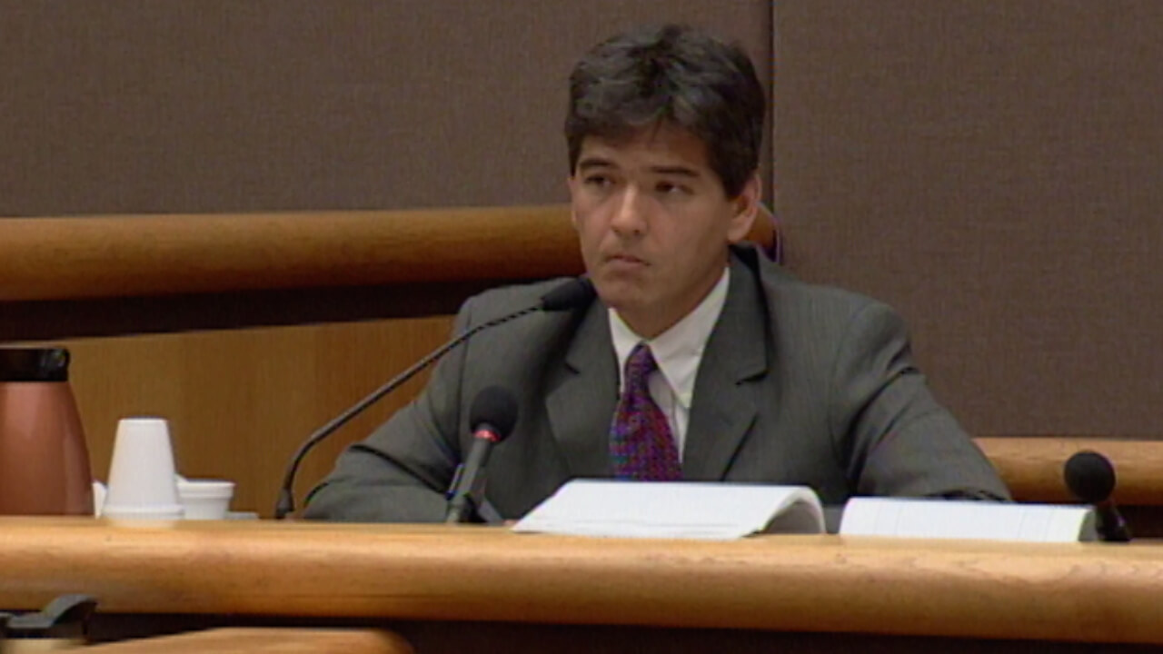 17-WA v. Foos: Dr. Andreas Lauer | Court TV Video