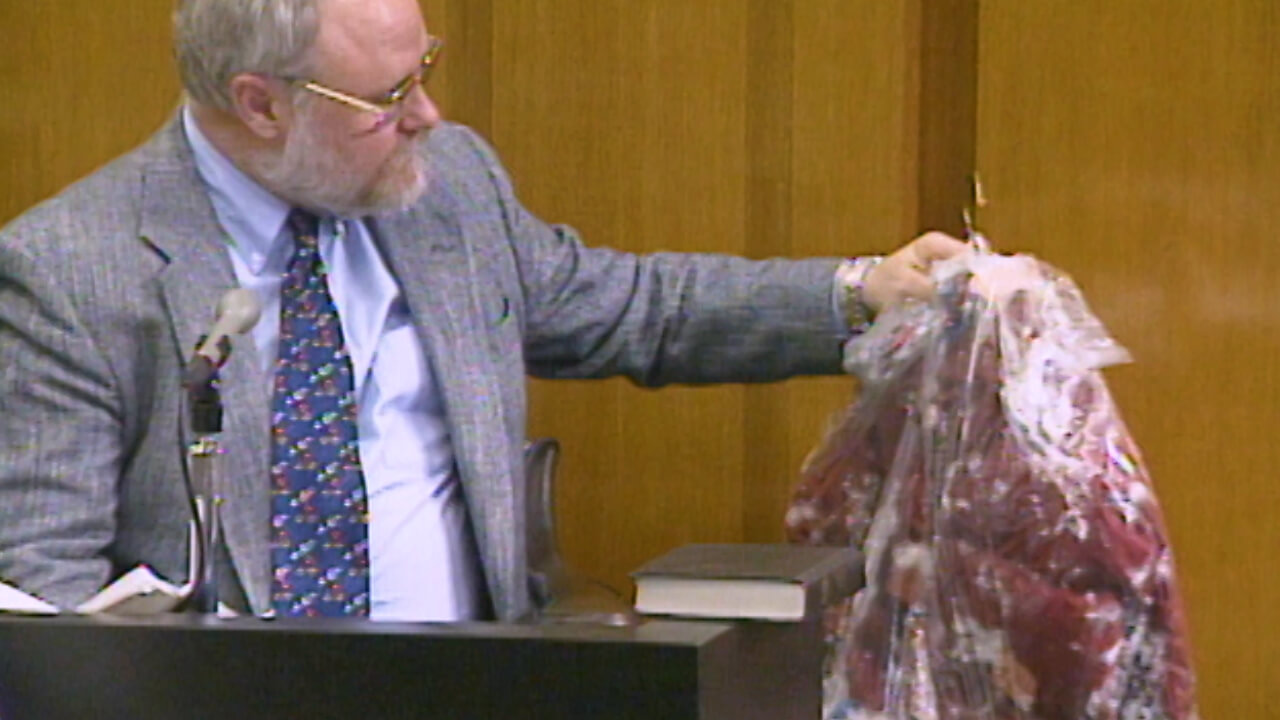 28-NY v. McKiever: Dr. Robert Shalaer | Court TV Video