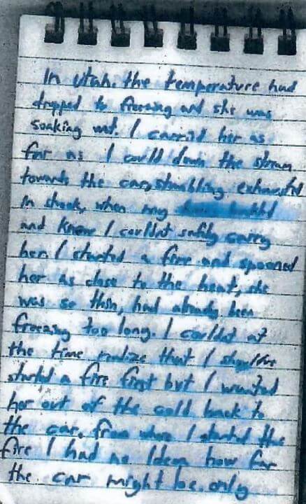 Brian Laundrie's notebook released | Court TV