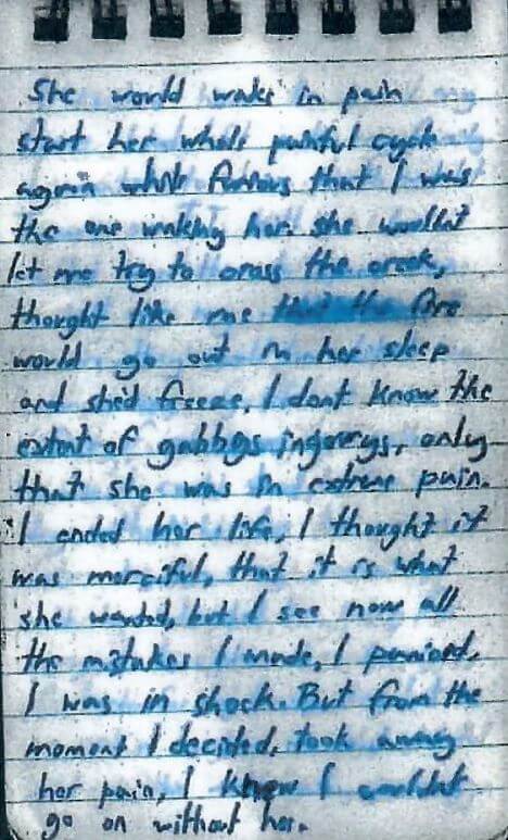 Brian Laundrie's notebook released | Court TV