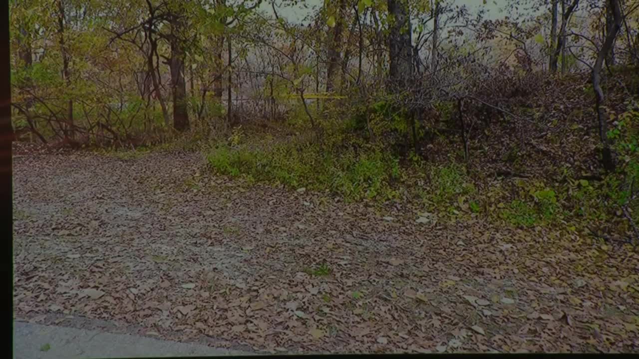 Jeremy Goodale sentenced for fatal beating of Spanish teacher | Court TV