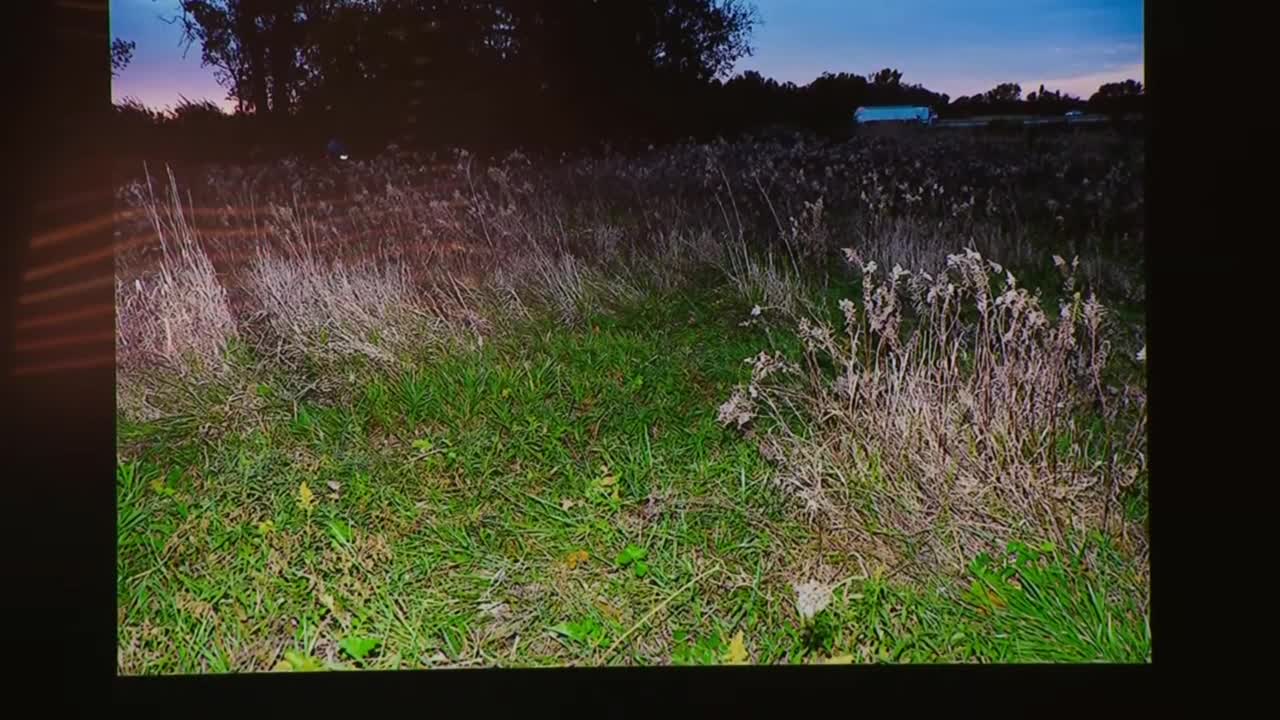 Jeremy Goodale sentenced for fatal beating of Spanish teacher | Court TV