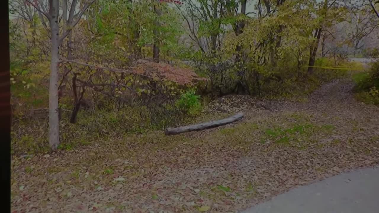 Jeremy Goodale sentenced for fatal beating of Spanish teacher | Court TV