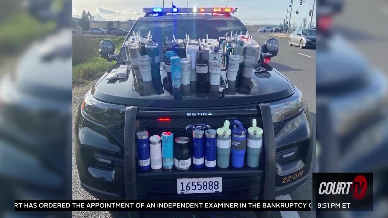 Stanley Cup Caper: Woman Steals 65 Coveted Cups | Court TV Video