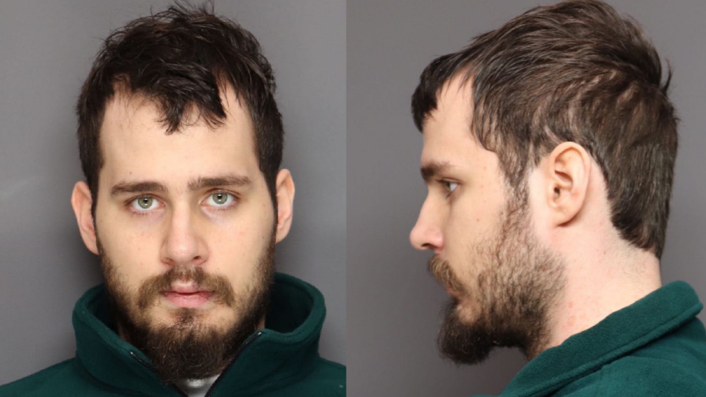 Brother pleads guilty to murdering, dismembering pregnant sister | Court TV