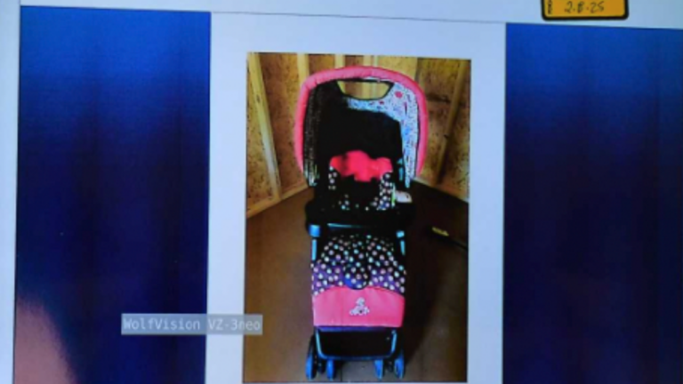 Baby Evelyn Murder Trial: Disturbing exhibits and key players | Court TV