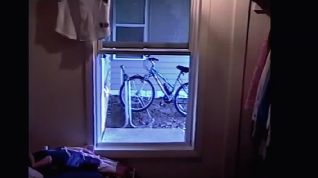 Key players and courtroom evidence in Toxic Roommate Murder Trial ...