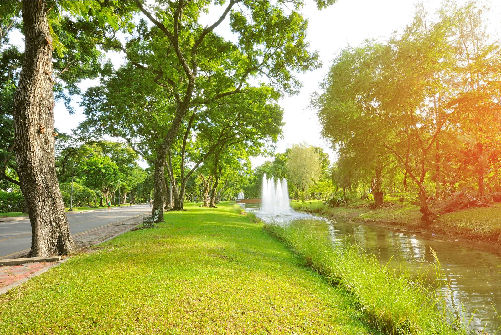 多種10棵樹，幸福感相當於多賺30萬 研究：公共綠地讓人更快樂｜天下雜誌