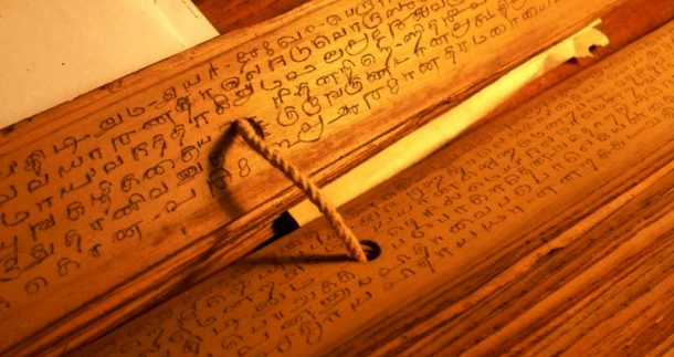 生肖屬蝙蝠、棕櫚葉問卦？揭開超愛算命的印度人，最神祕占卜術｜天下雜誌