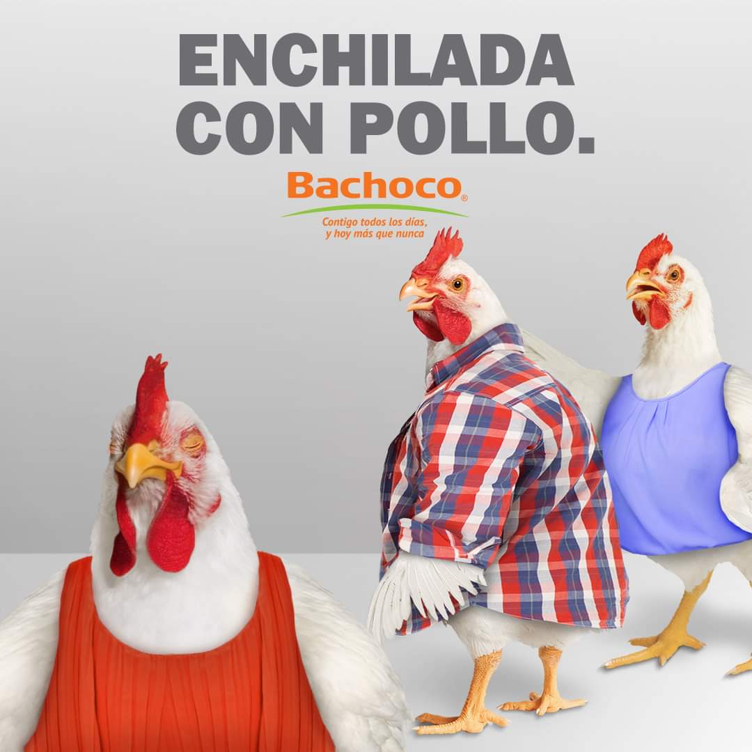 Los 12 anuncios más divertidos de Bachoco | Factor Nueve