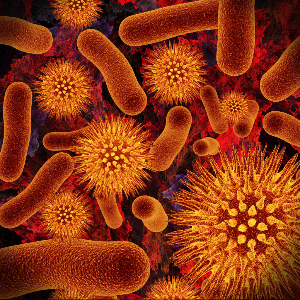 ¿qué Son Las Superbacterias La Nueva Amenaza Del Mundo