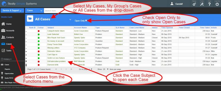 CSS Cases page - Spotler CRM Support