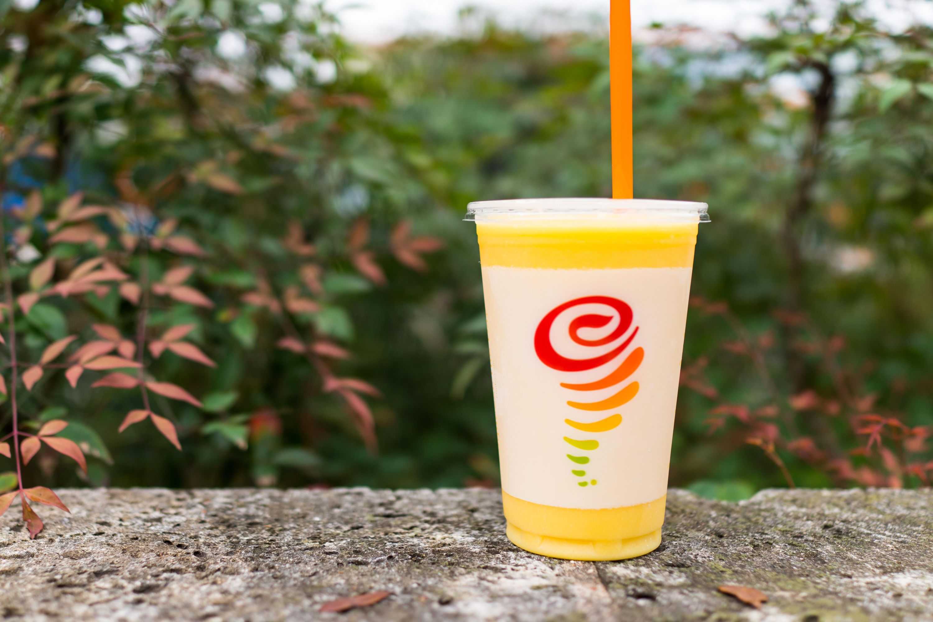 Overview | Jamba Inc.