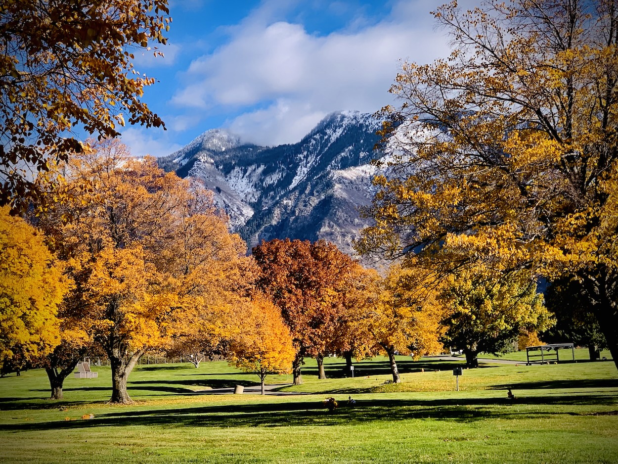 The History of Veterans Day | Larkin Mortuary Blog