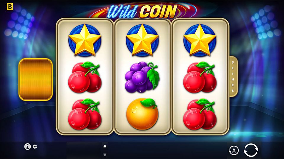 Play Wild Coin Slot Game | PlayFame.com