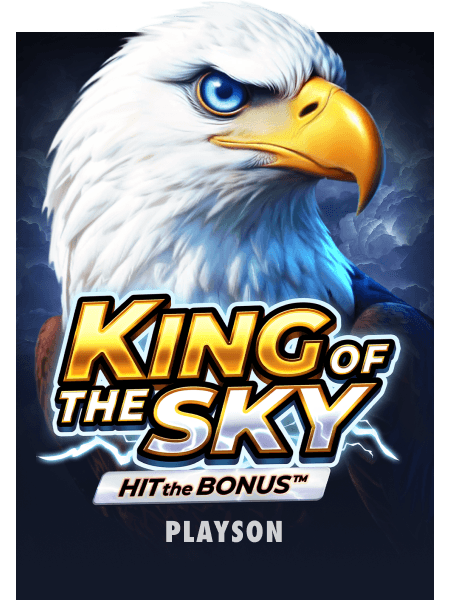 Play King of the Sky Hit the Bonus Slot Game | PlayFame.com