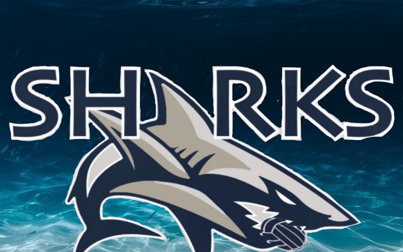 Home [sharksvball.com]