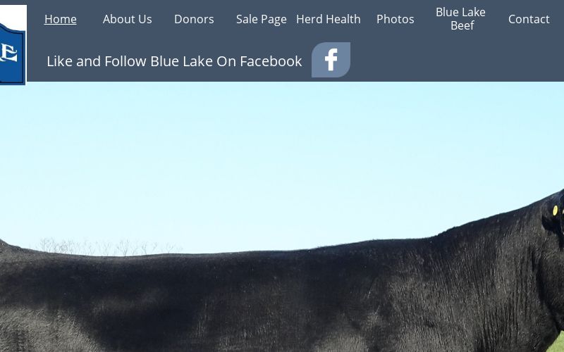 Blue Lake Cattle Ranch