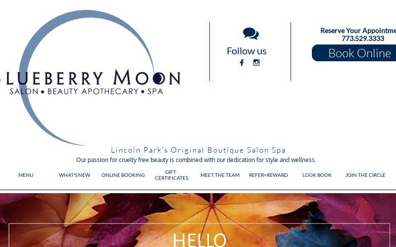 Welcome to Blueberry Moon Salon Spa in Chicago. Lincoln Park's Original ...