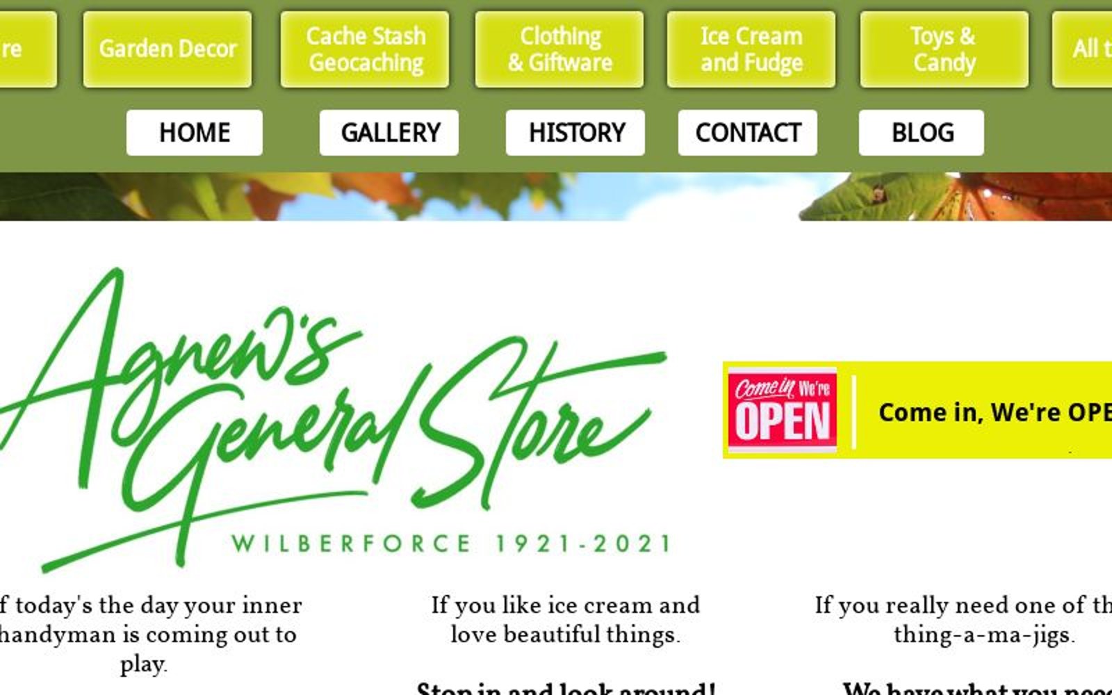 Home Agnew's General Store