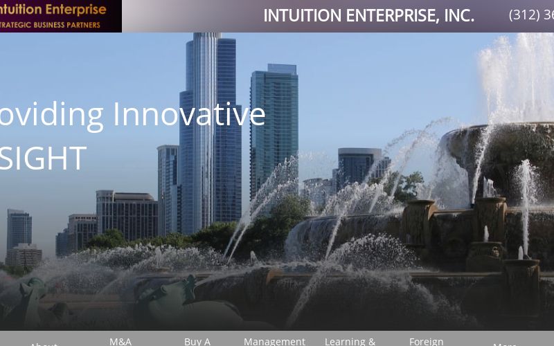 Home [www.intuitionenterprise.com]