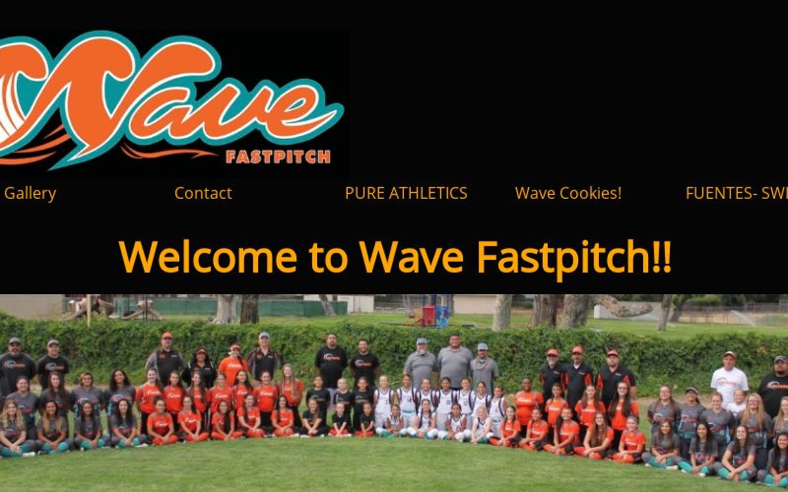 Home [www.wavefastpitch.org]