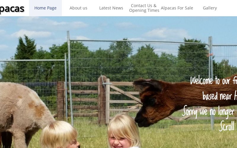 Home Page [winwickbarnalpacas.co.uk]