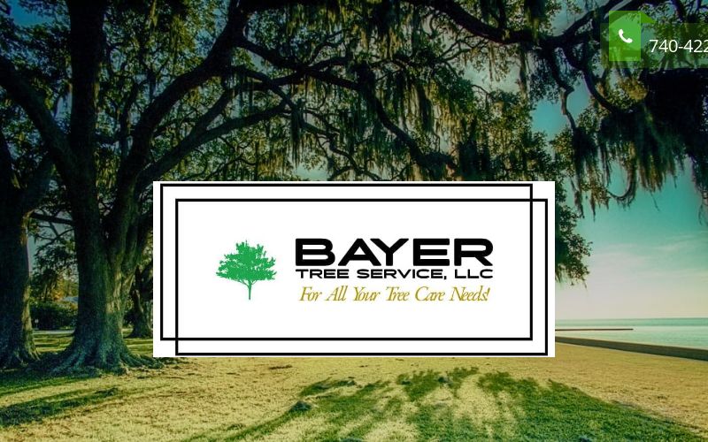 Home Page [bayertreeservice.com]