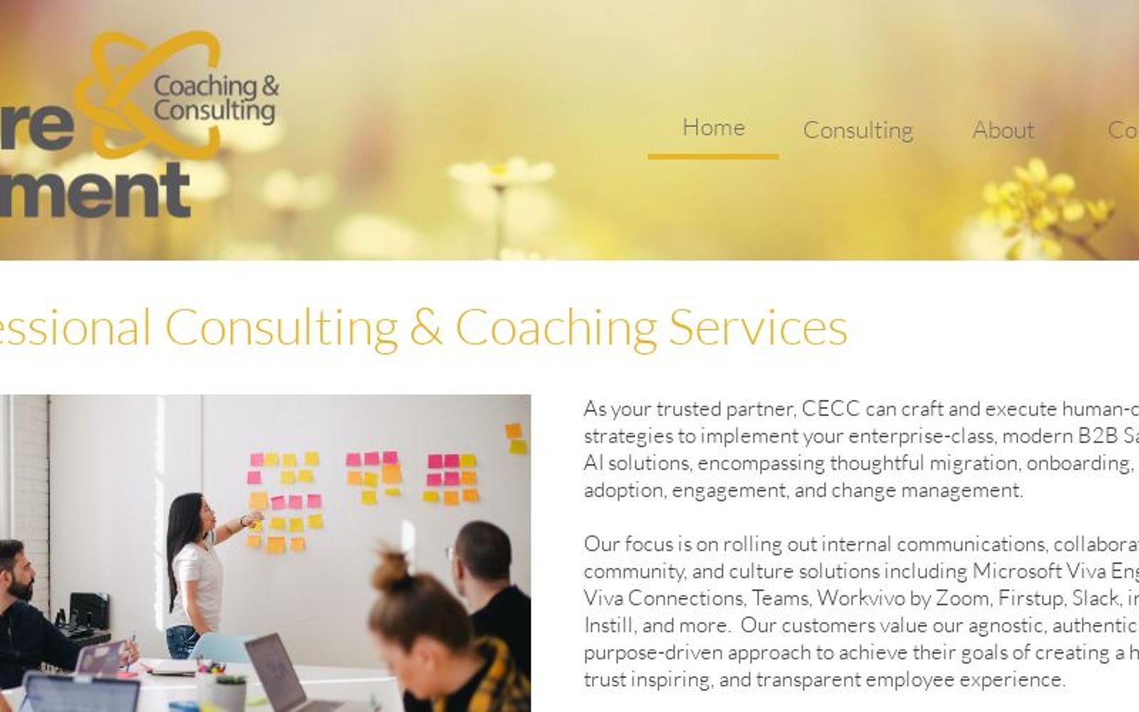 Core Element Coaching & Consulting - Focused on Creating Human ...