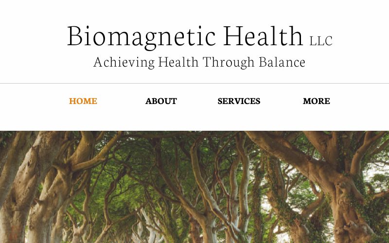 Introduction to Biomagnetic Health LLC