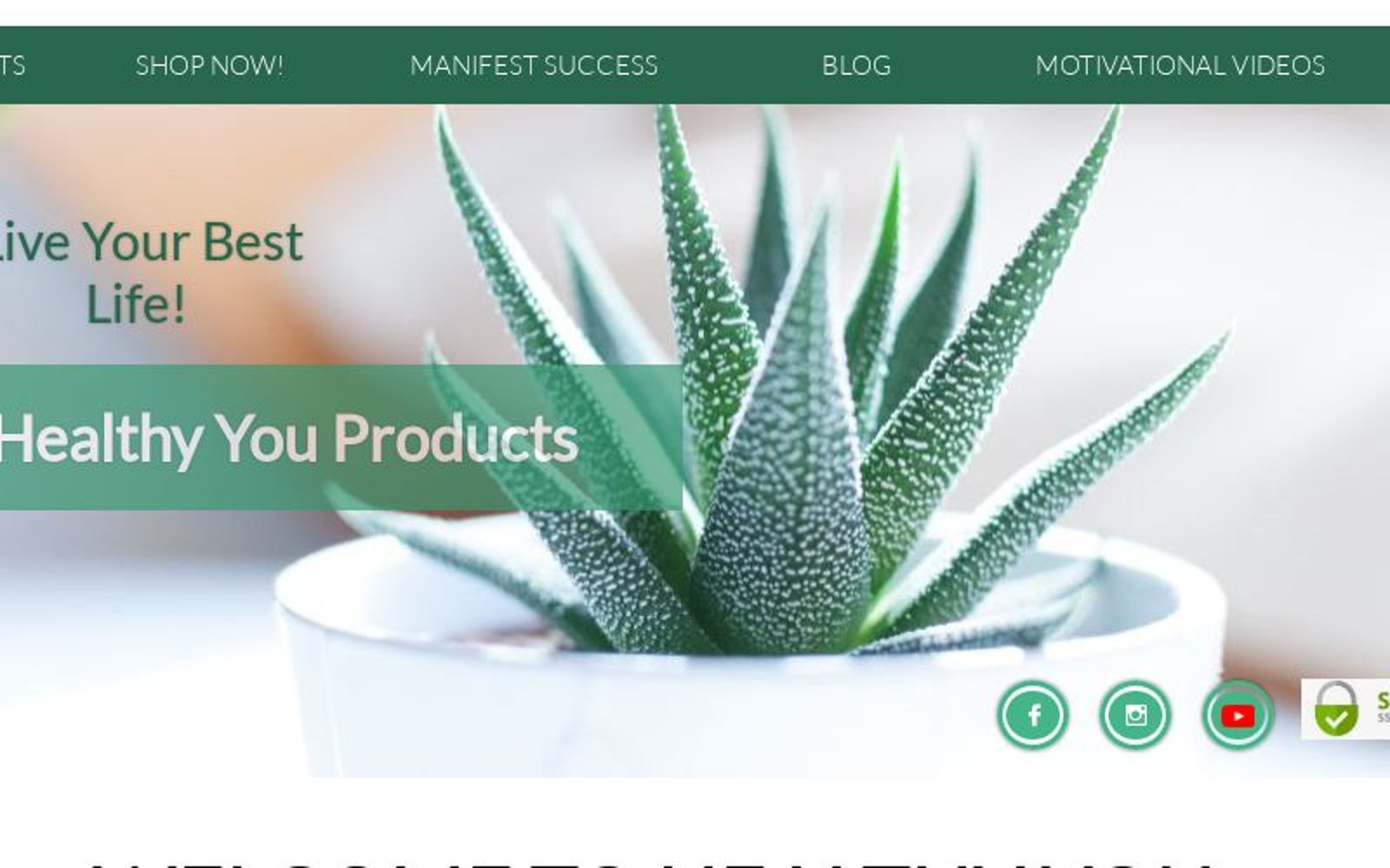 HEALTHY YOU PRODUCTS - Official Site