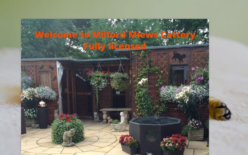 Home [milfordmiewscattery.com]