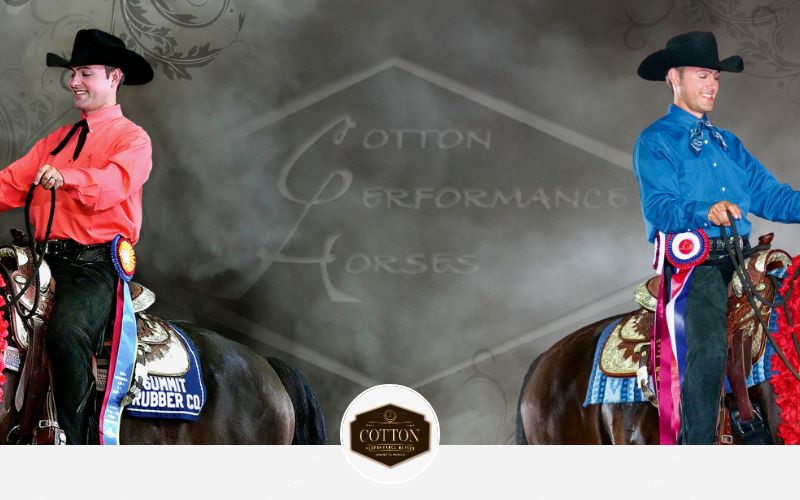Home [www.cottonperformancehorses.com]