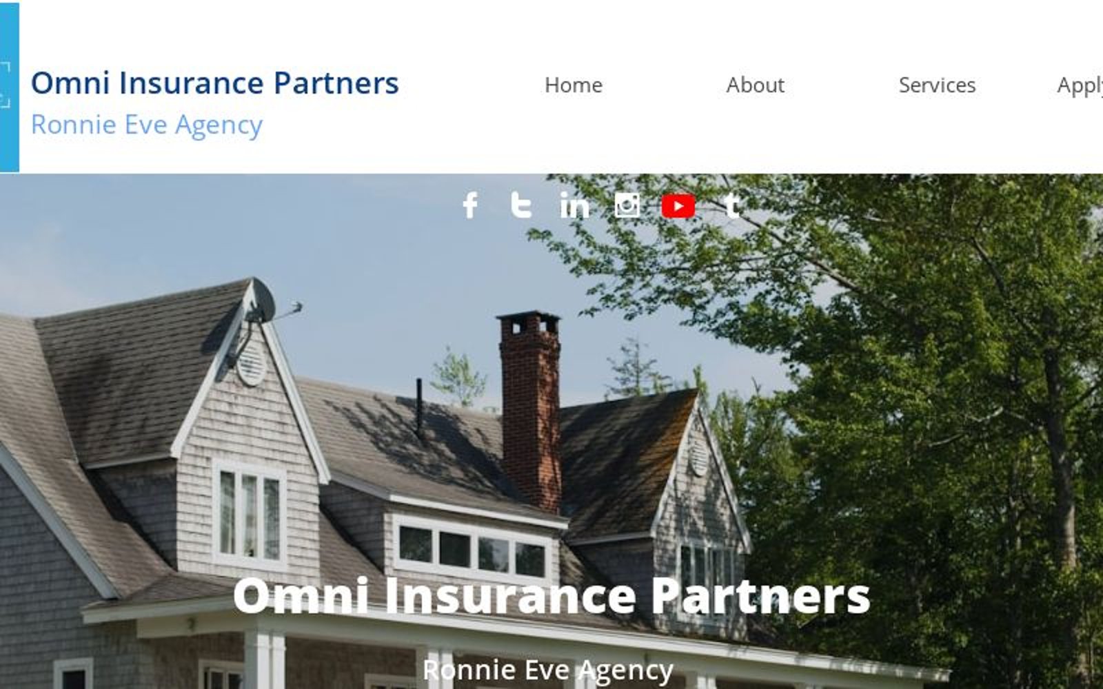 Home [omniinsurancepartners.com]