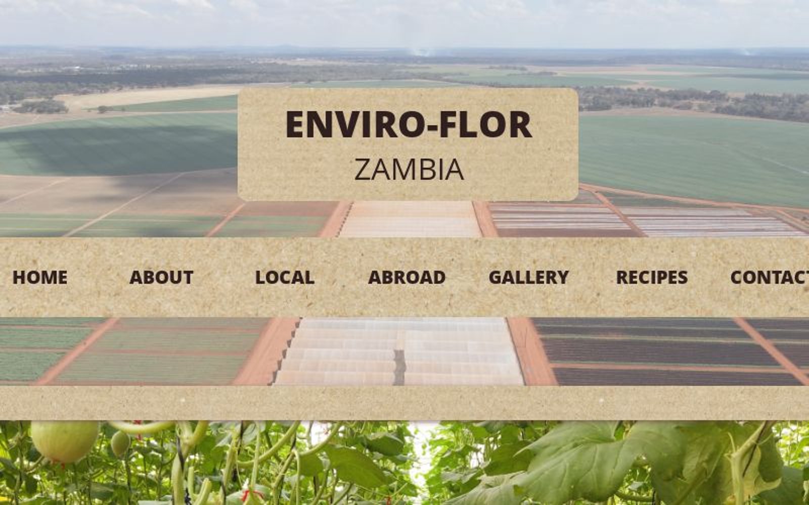 Home - Fresh Vegetable Supplier in Lusaka