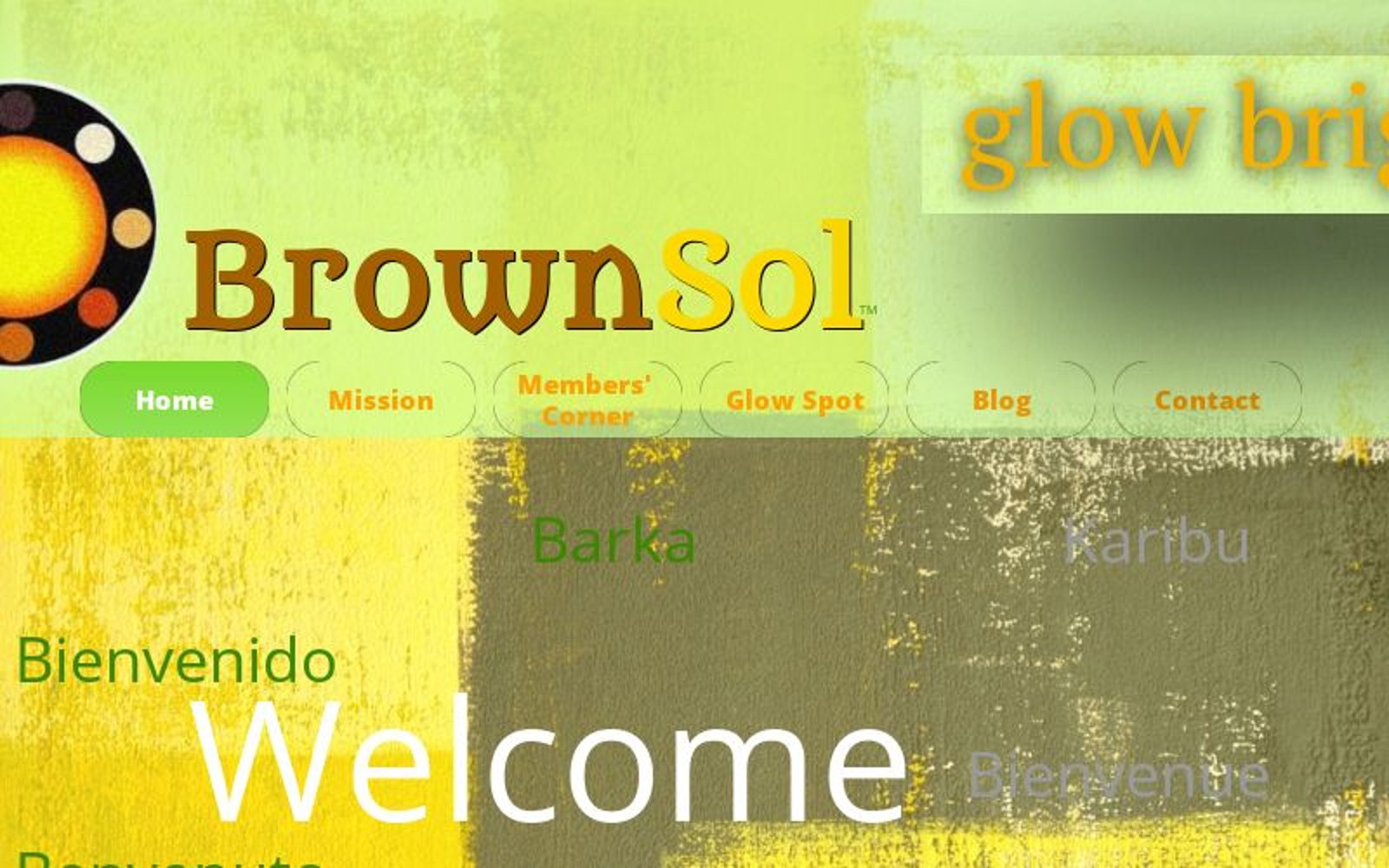 Home [www.brownsol.com]