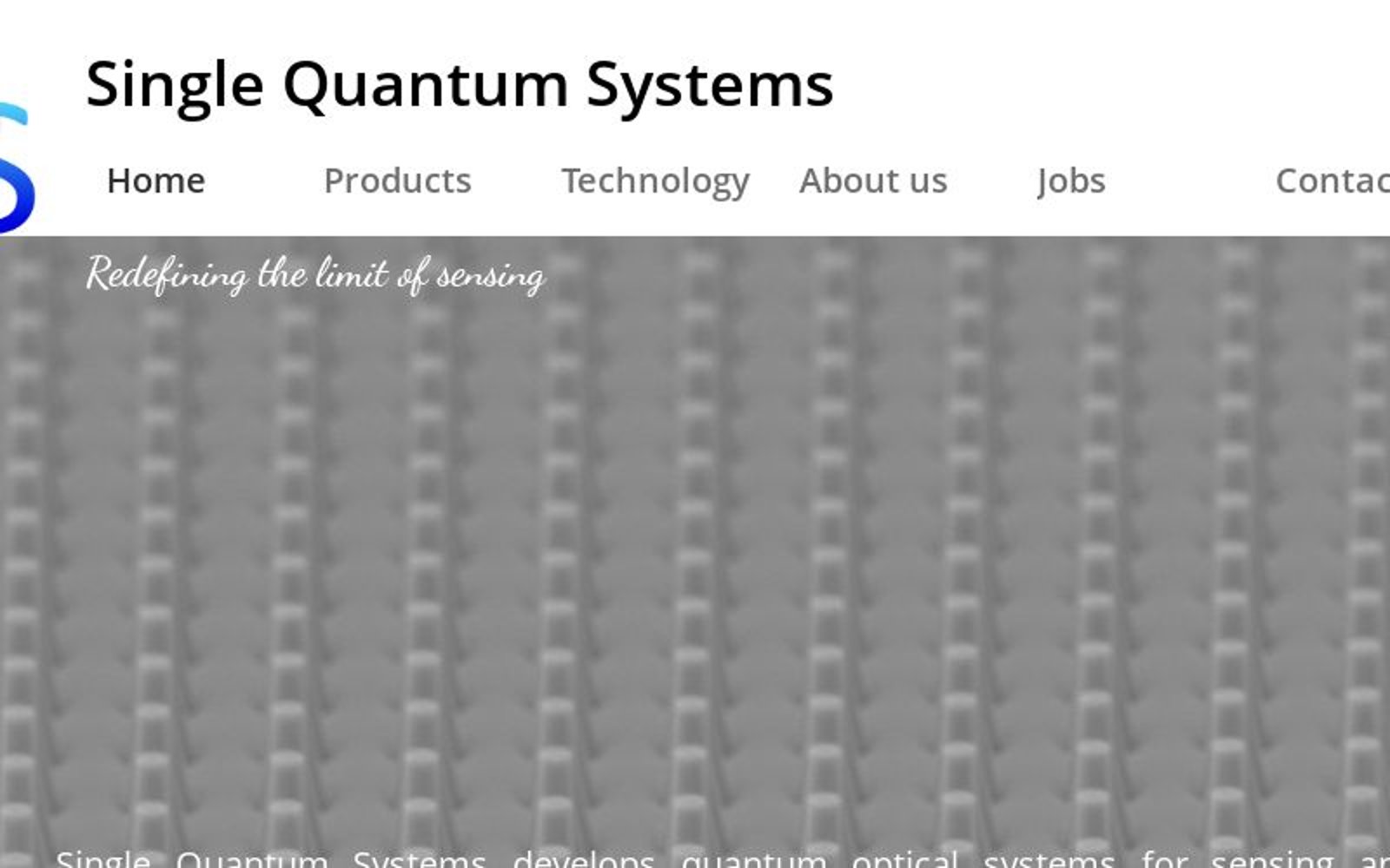 Single Quantum Systems
