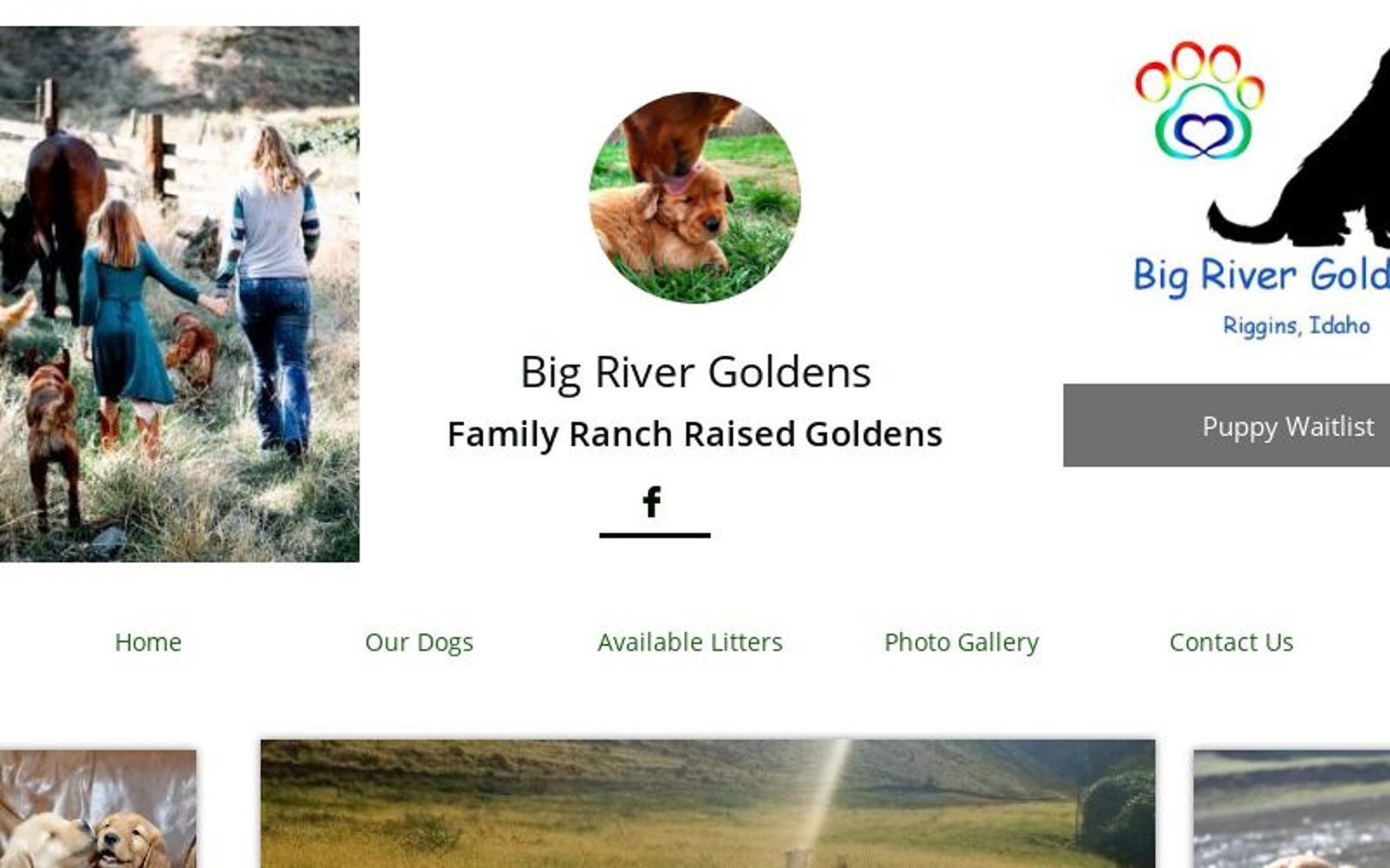 Home [www.bigrivergoldens.com]