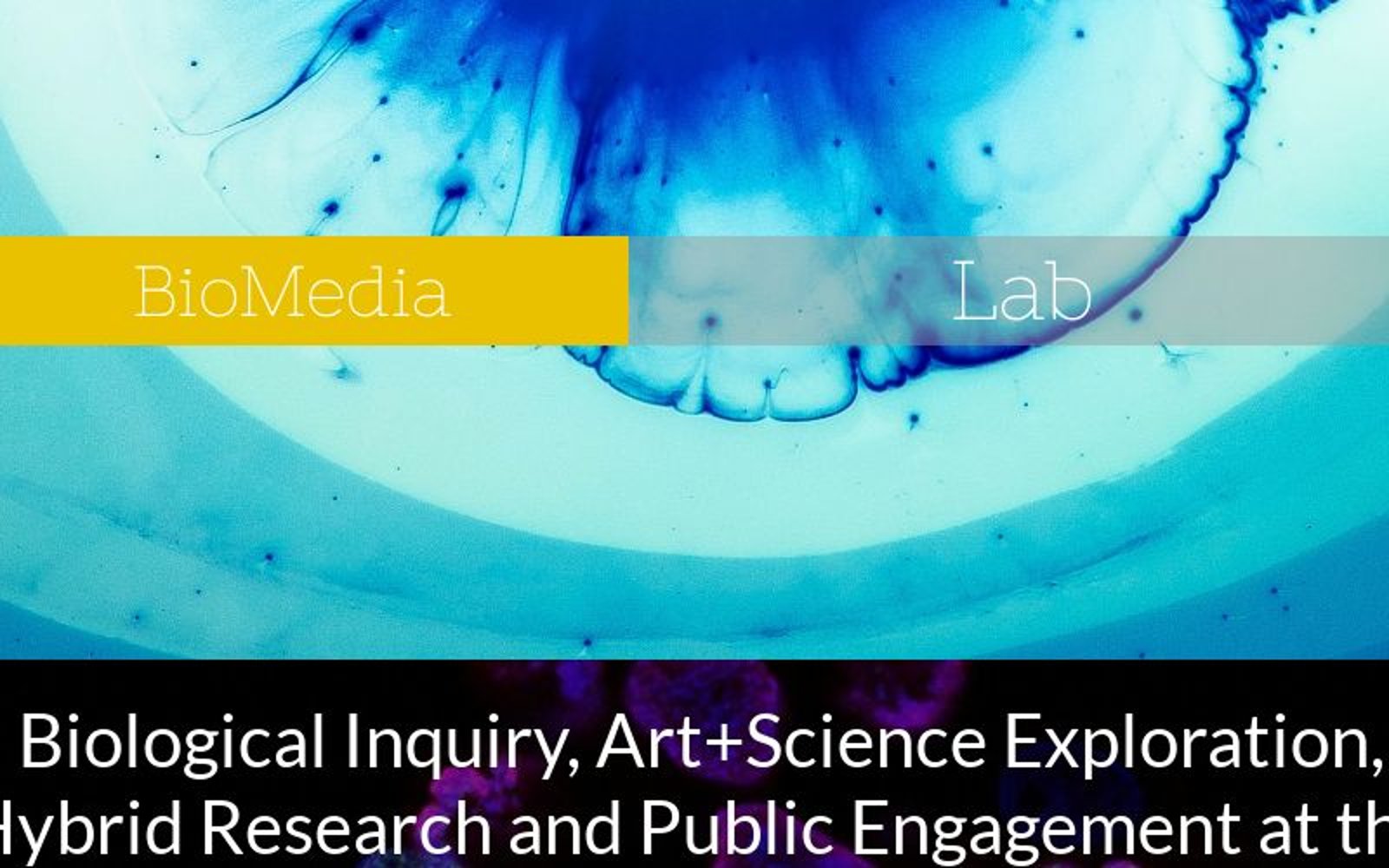BioMedia Lab
