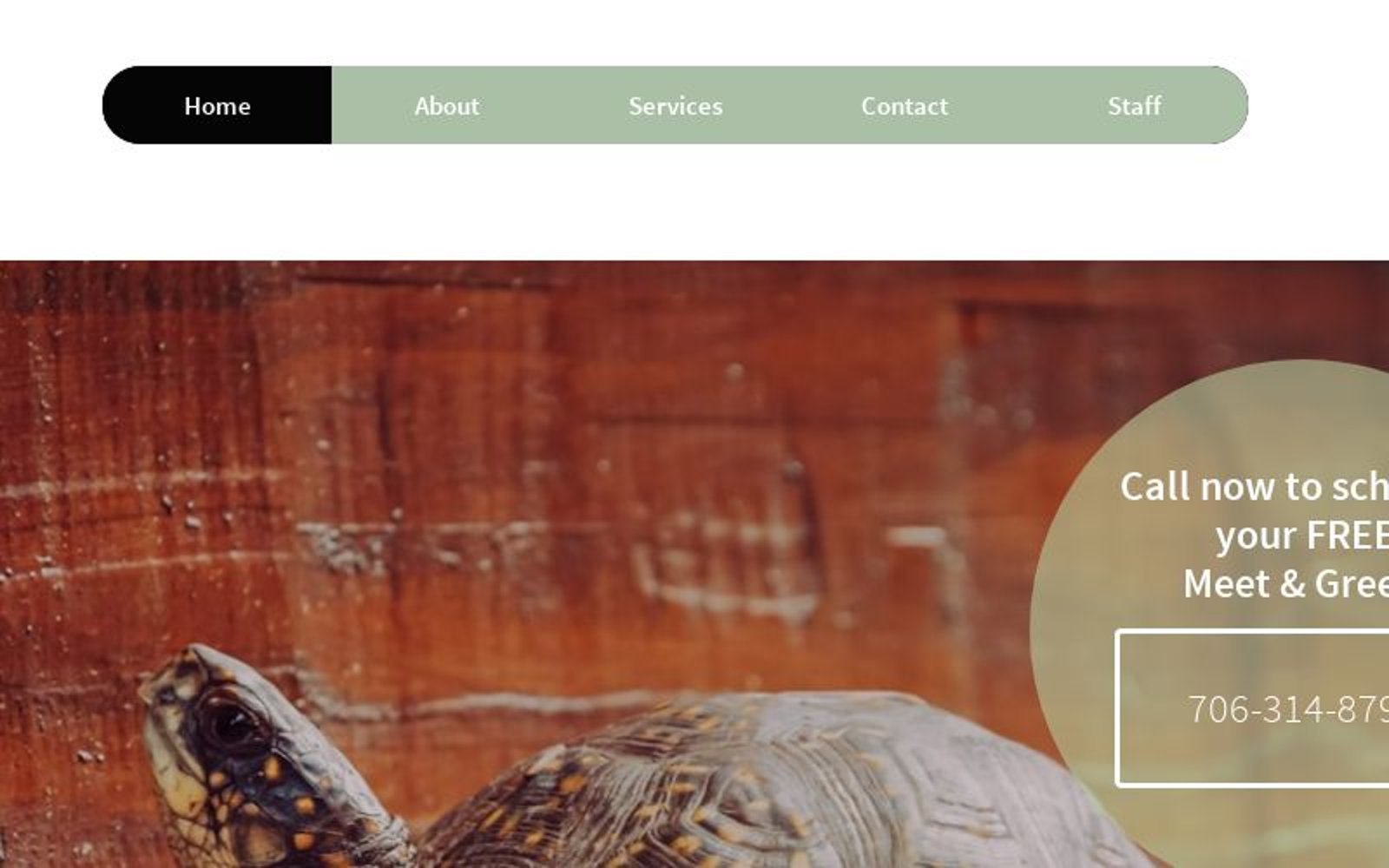 Home [curiouscreaturespetcare.com]