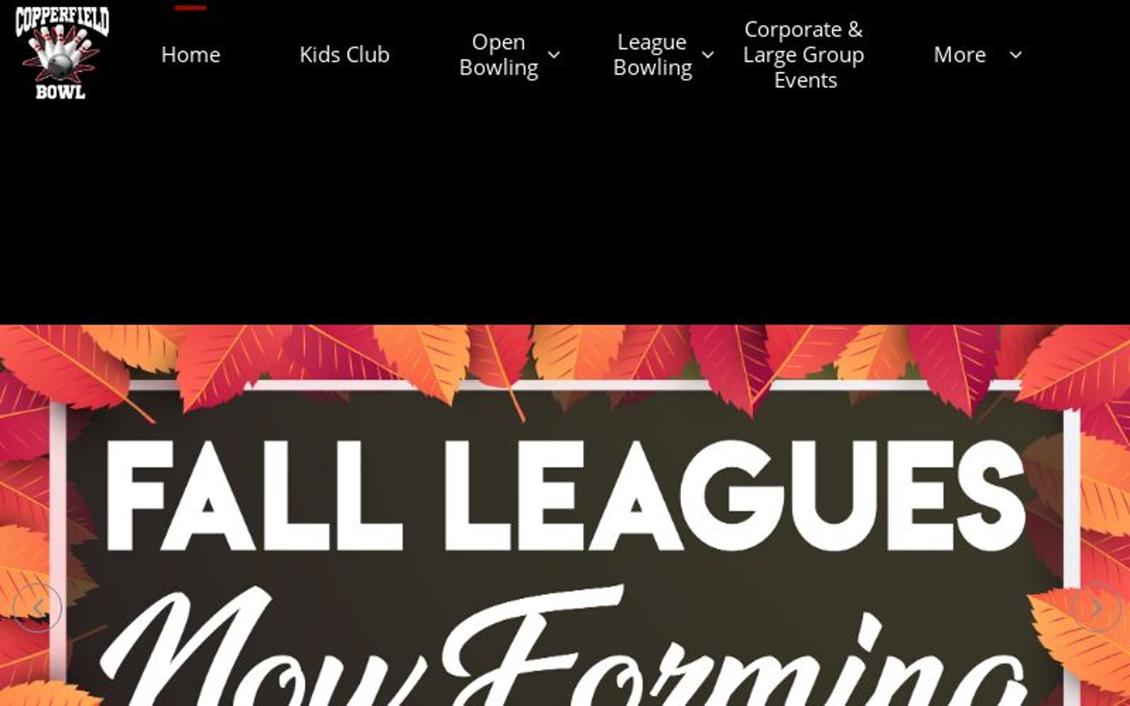 Home [www.copperfieldbowl.com]