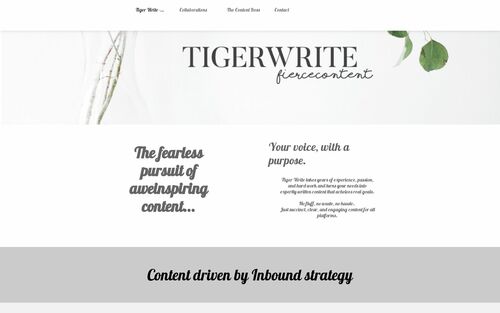 Tiger Write - Content Creation