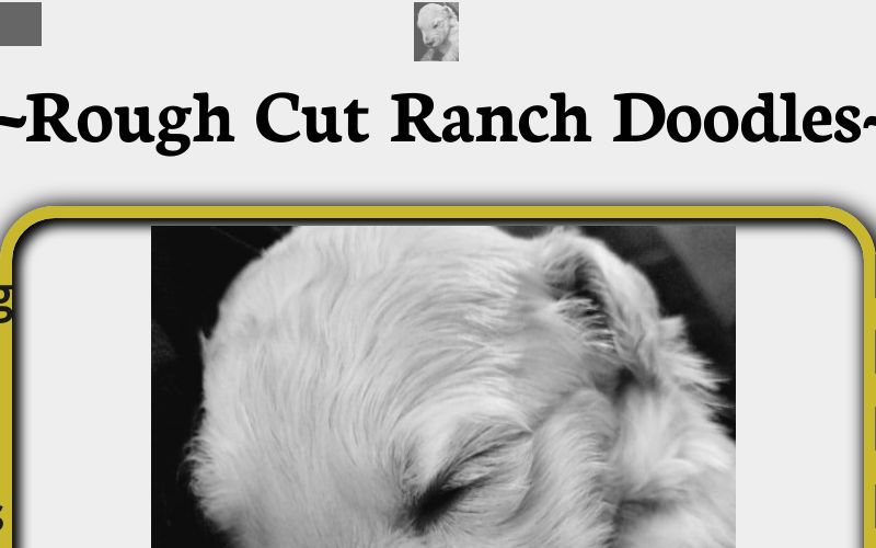 Home [www.roughcutranchdoodles.com]